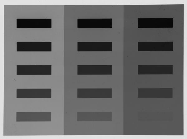 Kapelan Bio-Imaging - imaging software straight to the point