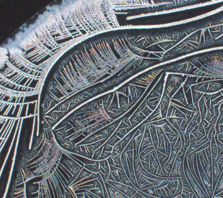 LabImage ISA - AI based Structure Analysis - Kapelan Bio-Imaging