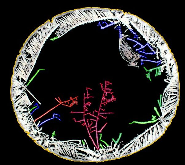 LabImage ISA - AI based Structure Analysis - Kapelan Bio-Imaging